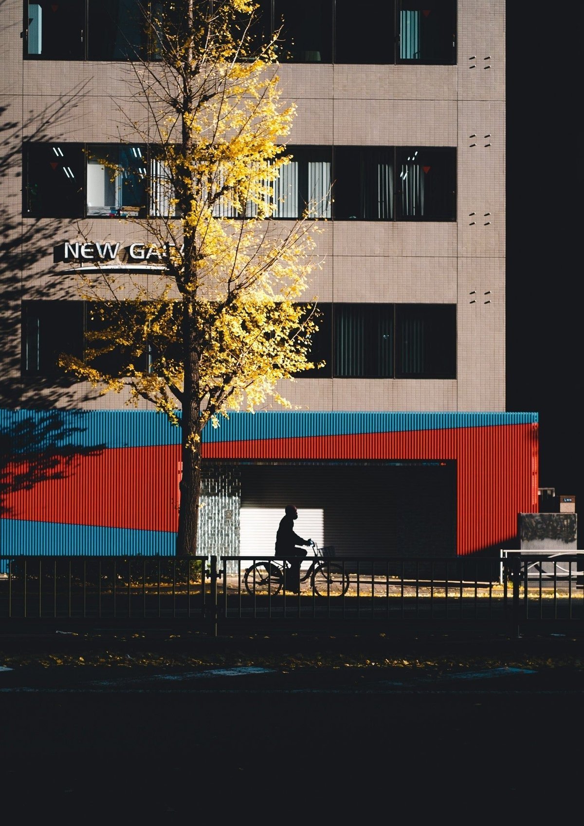 【作例写真30枚】X-E4を4年以上使い続けた本音レビュー｜Nocchi(のっち)