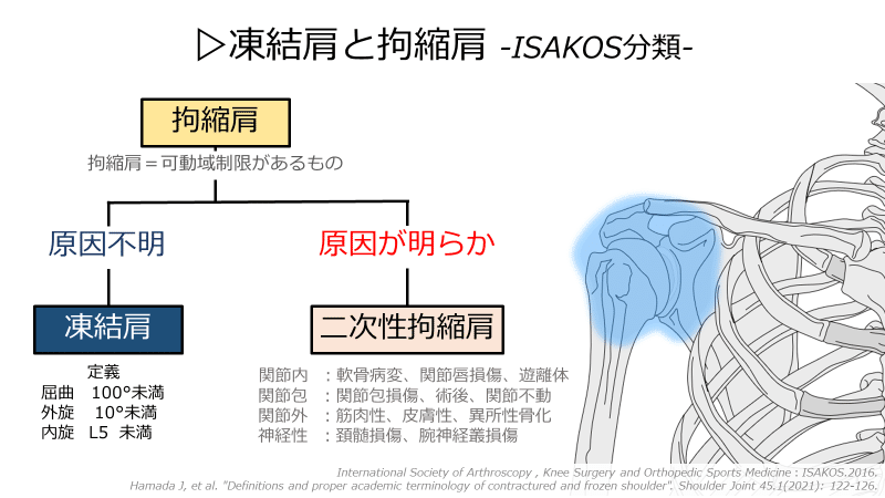 肩関節拘縮の評価 -理学、MRI、エコー所見-｜肩関節機能研究会 郷間
