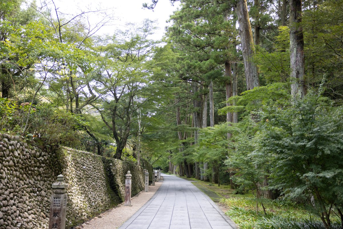 【静岡】法多山尊栄寺の厄除けだんご｜せちラボ