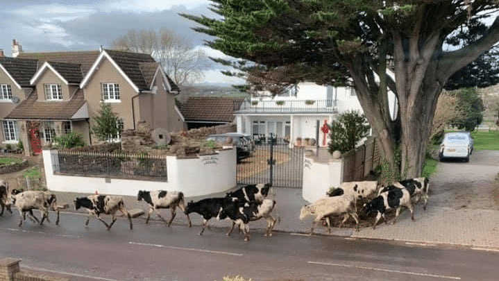 小さな国の小さな村のお話｜oga_gicho