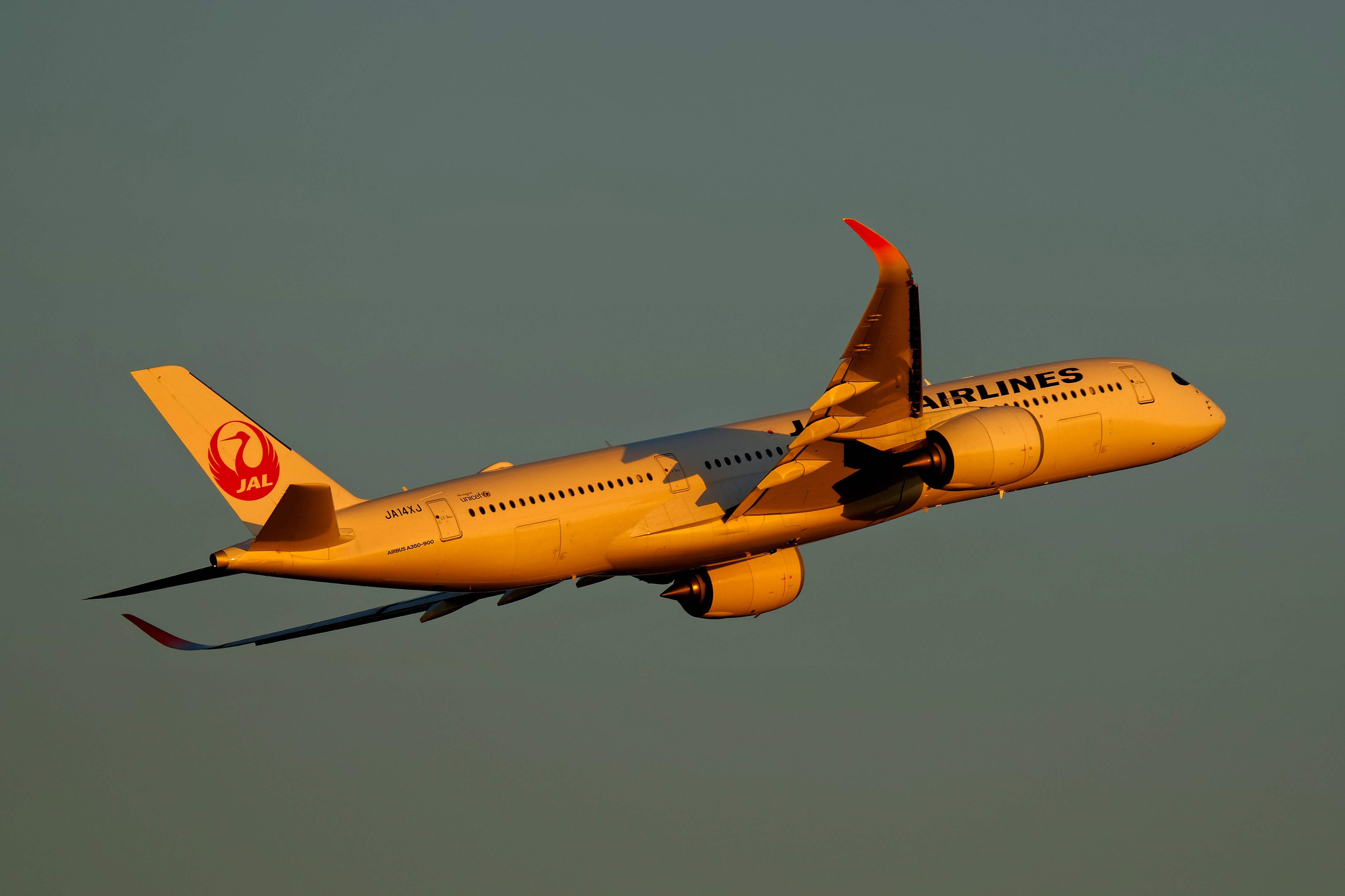 ☆肉の日！！｜Fred☆Aoki / 航空機ロマン