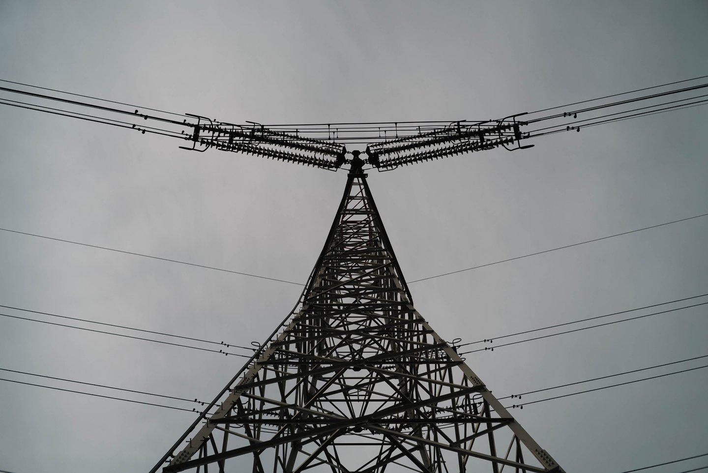 【365 Photo】206/365｜Ryosuke Otani