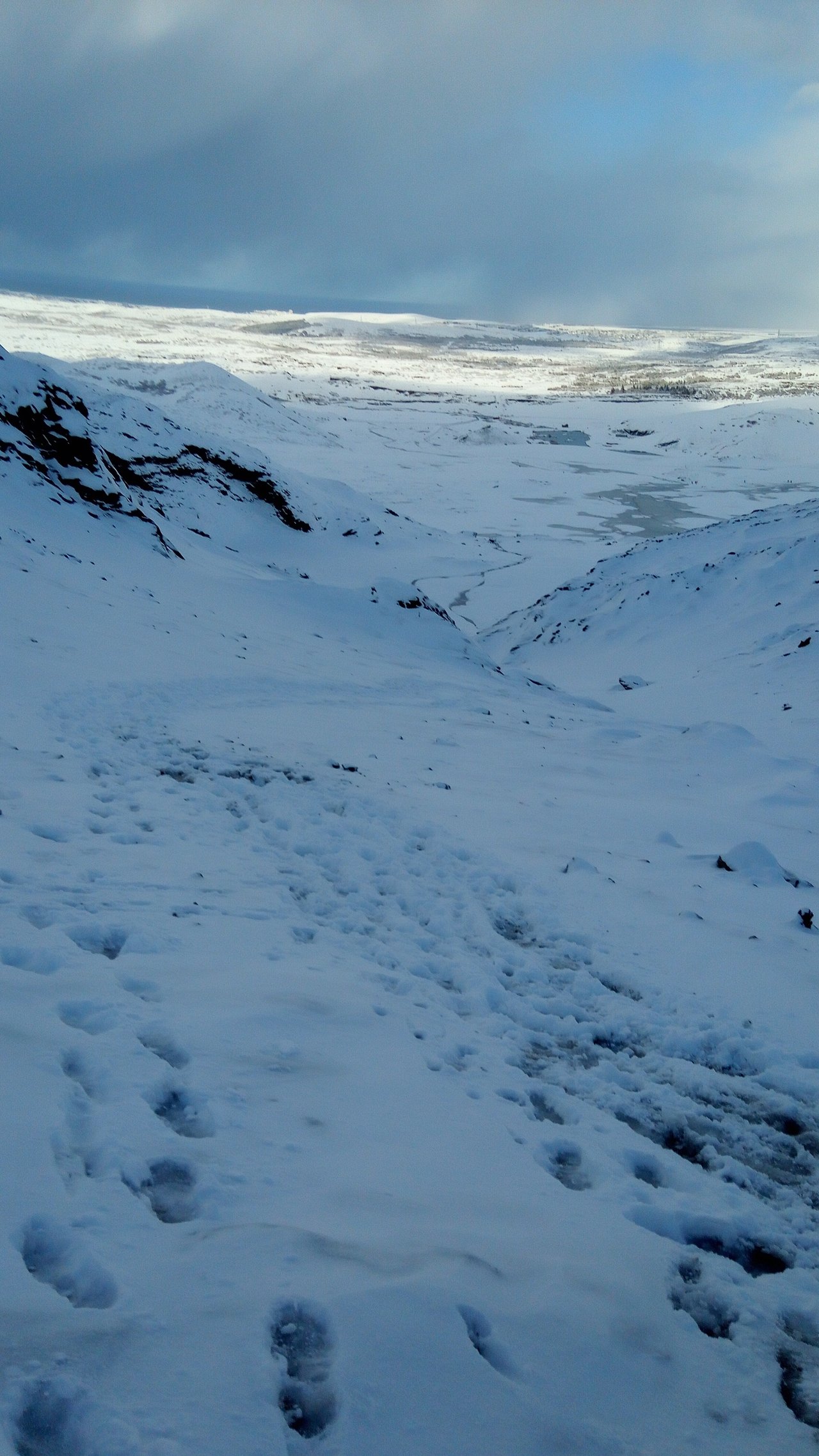 朱位 昌併（AKAKURA Shohei）｜note