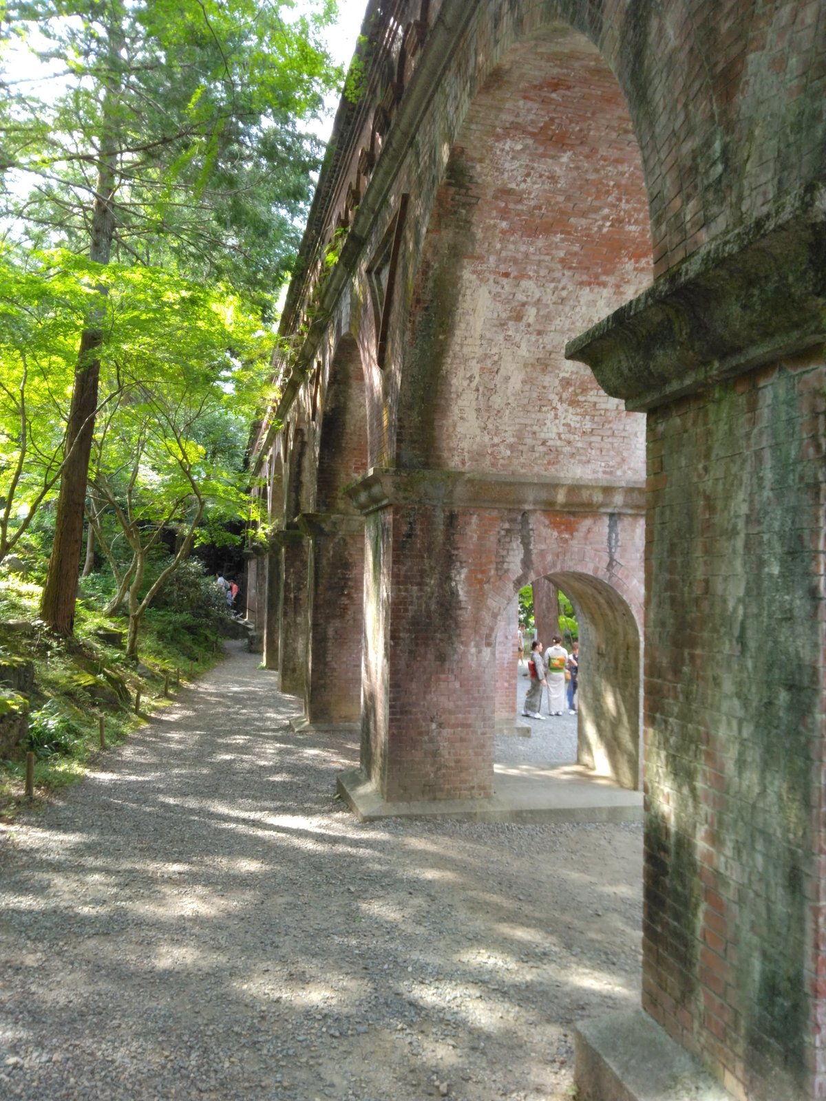 京都市の右側を歩いてみた！ We tried to walk in right side of Kyoto!｜麗澤瑞浪中学・高等学校
