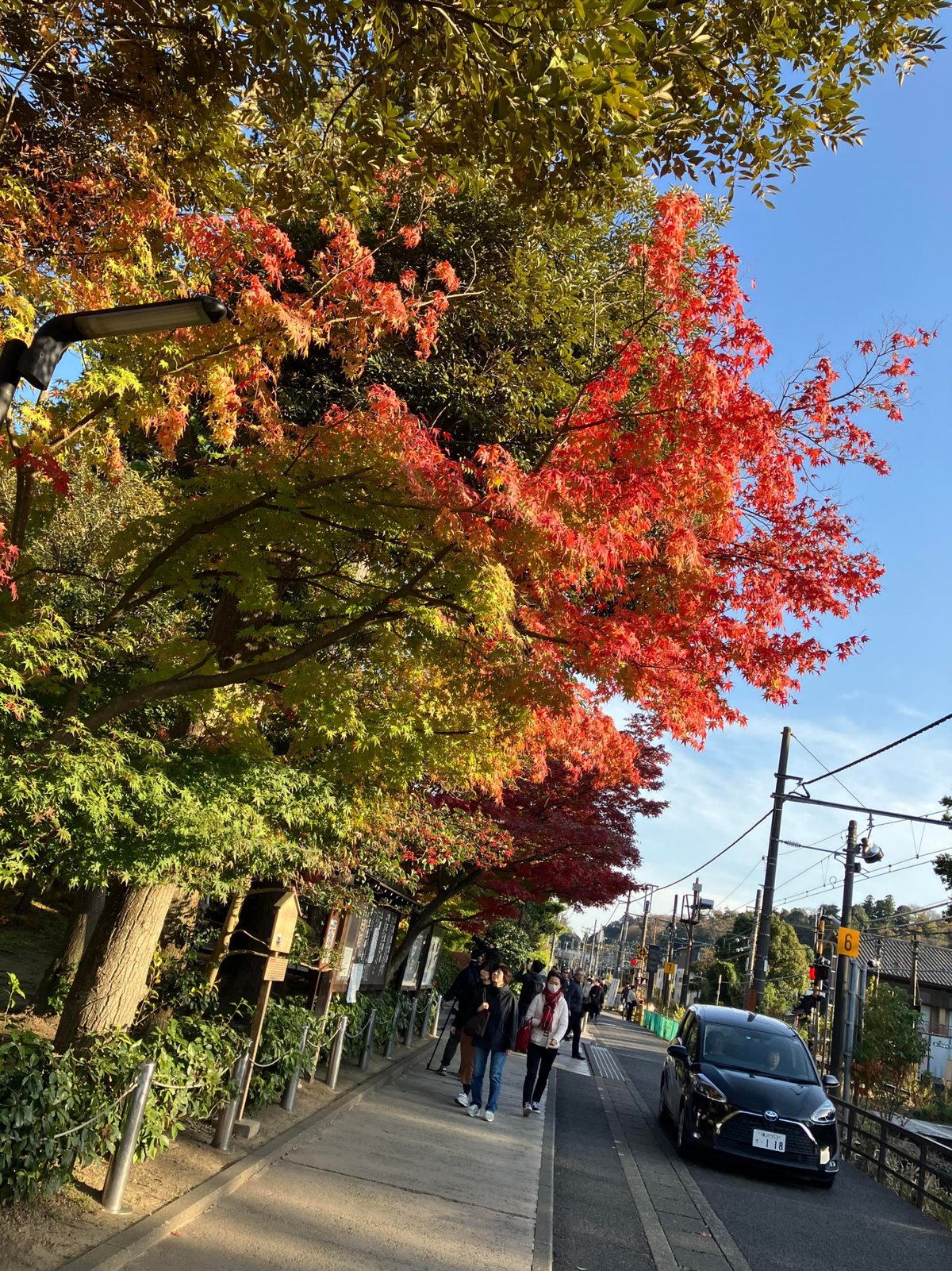 まさかの…｜Kirin_desu