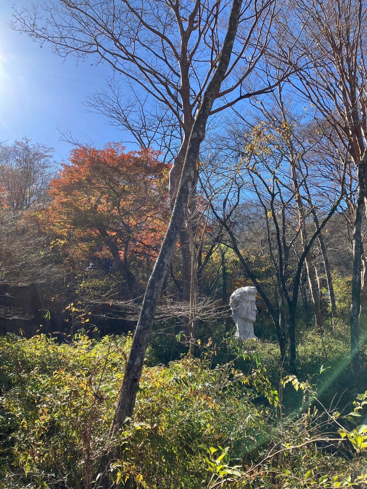 まさかの…｜Kirin_desu