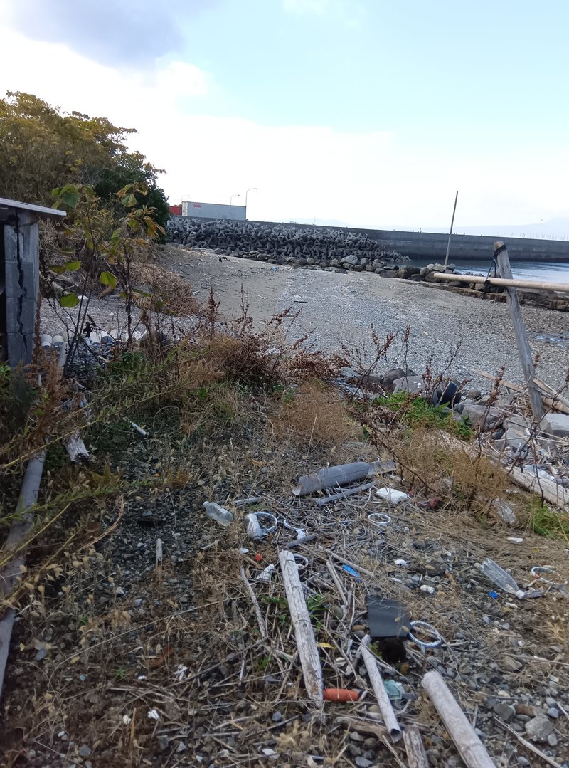 海岸掃除(1)｜SeasideLion