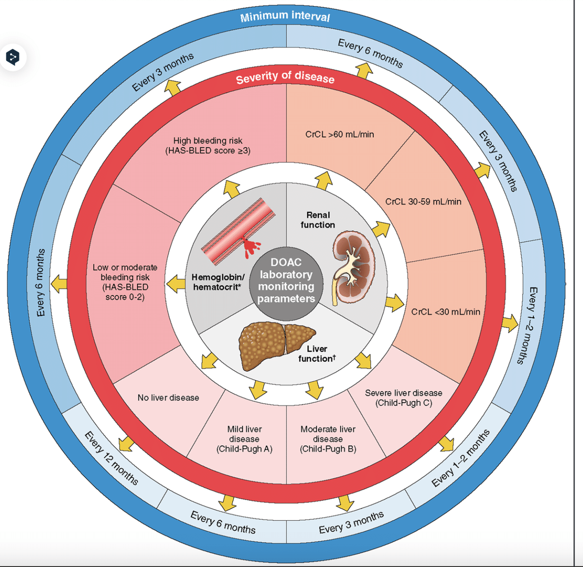 2023 ACC/AHA/ACCP/HRS心房細動ガイドラインupdate｜Makisey