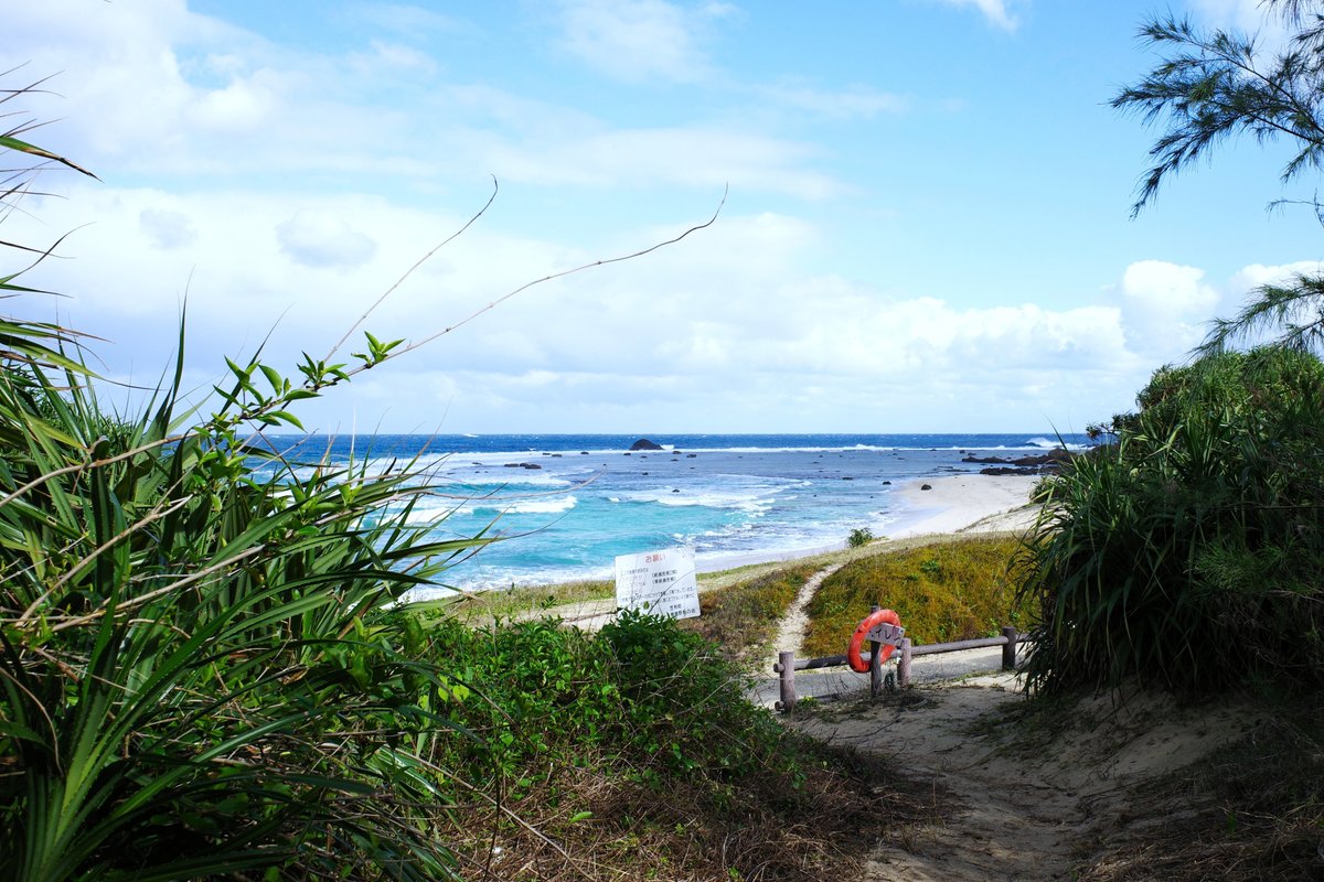 『好奇心ドリブンの時代』－学びのエンジンで大人も子どももサバイバル｜Daiki Ishiguro