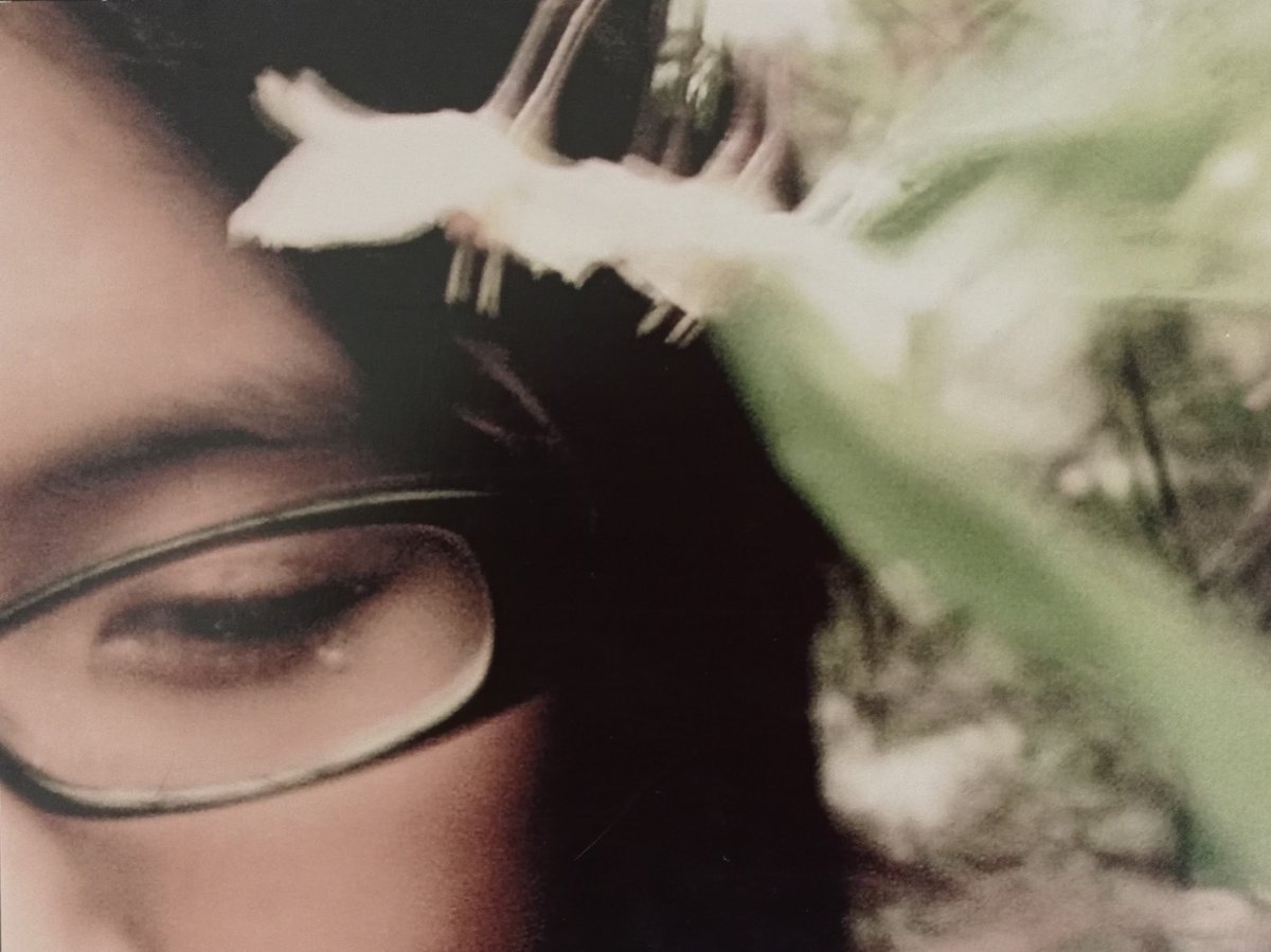 子供の理不尽な怒りの裏にあるもの｜Ikumi Bowles(ボウルズ郁美）