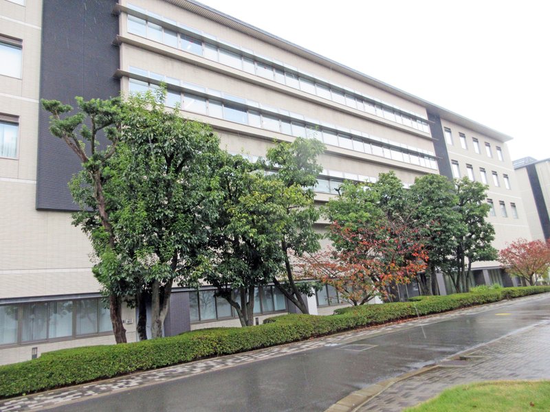 第18回 患者が行く、研究室訪問～京都大学iPS細胞研究所（CiRA）訪問記：ヒトiPS細胞から次世代型スマート膵島をつくることで、1型糖尿病を根治する｜たけっち