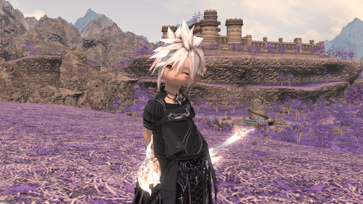 【FF14】SSをキレイに撮りたい！写真から学ぶ基礎知識｜しろぬこ