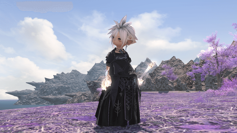 【FF14】SSをキレイに撮りたい！写真から学ぶ基礎知識｜しろぬこ