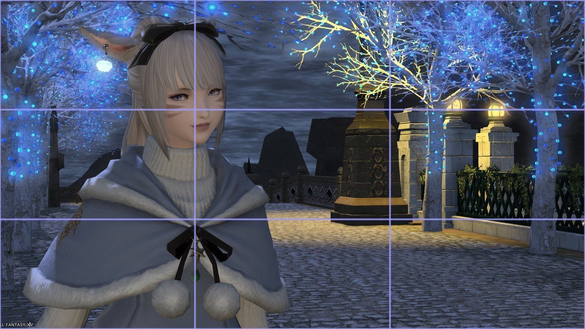 【FF14】SSをキレイに撮りたい！写真から学ぶ基礎知識｜しろぬこ