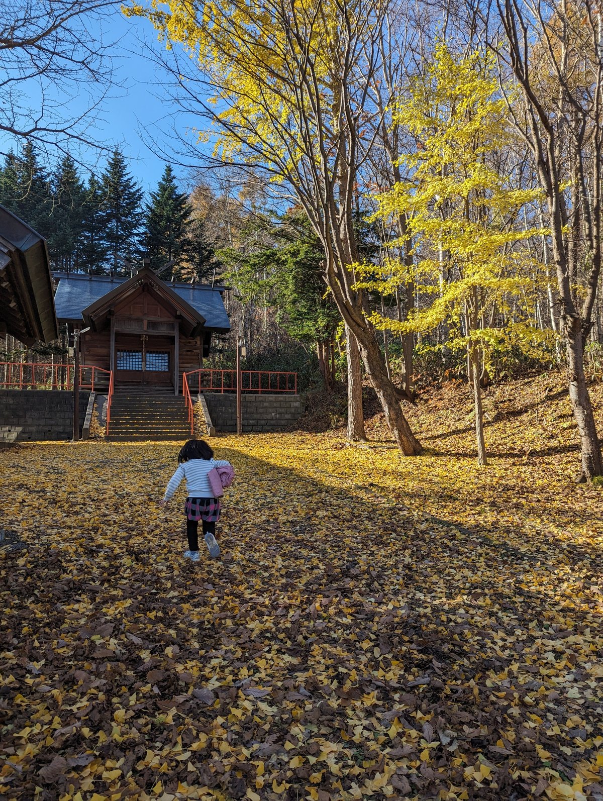 荒ぶる野生｜Dala Space ひろこ