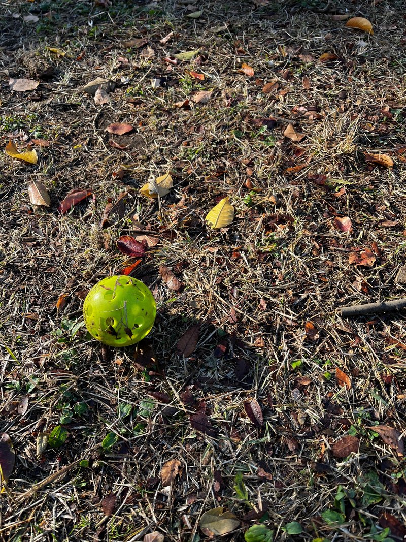 【1000の日々】980/1000｜miki tsukada｜人がアートと出会う場を整える