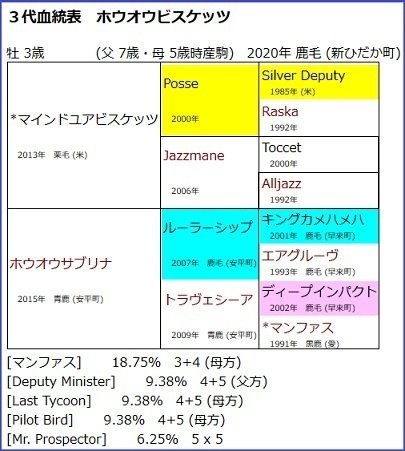 【中日新聞杯（G3）】～予想篇｜Haya
