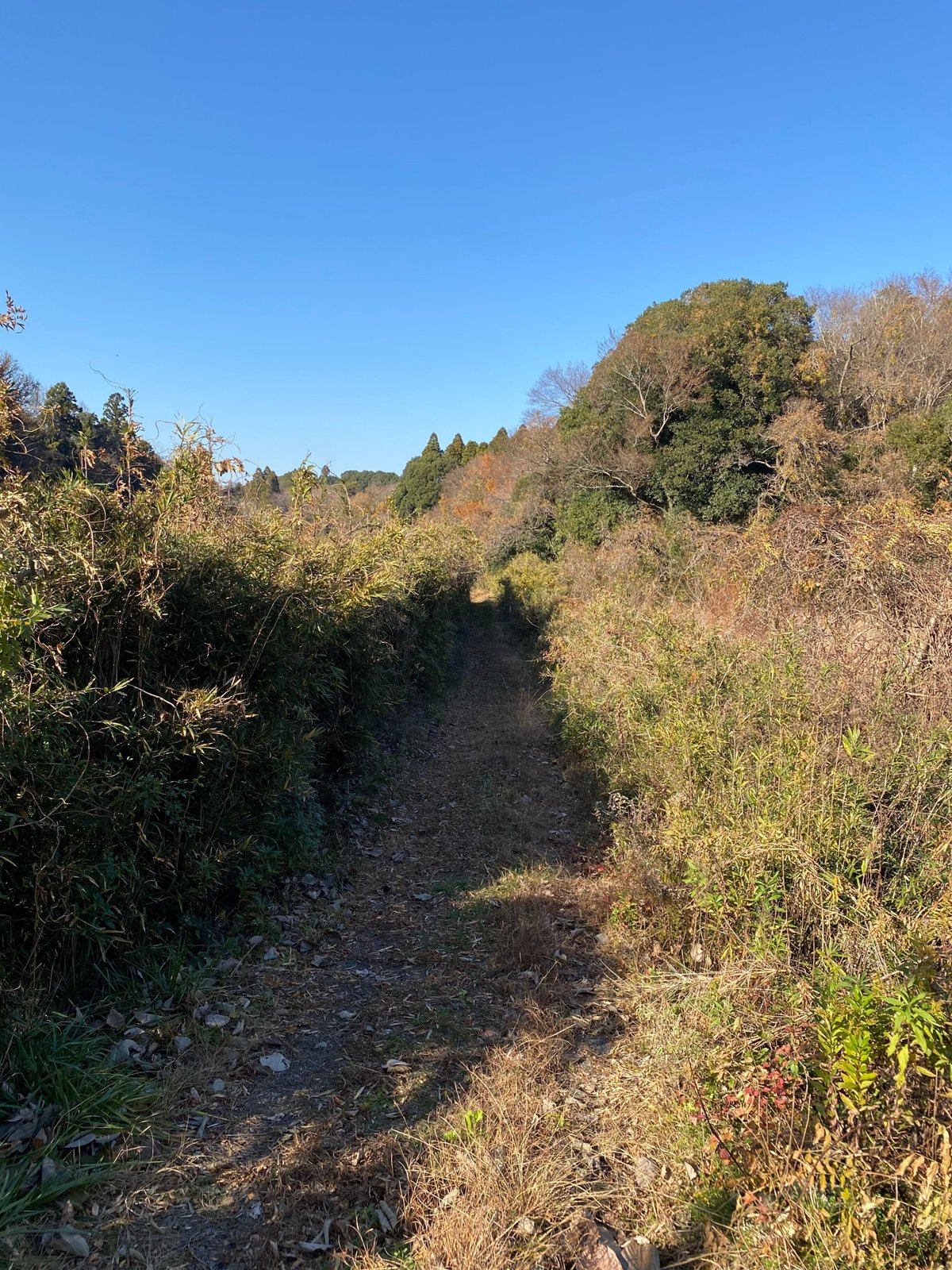 【MTB】千葉県人による本当におススメな千葉のサイクリングコース「総武本線の秘境駅、南酒々井周辺グラベルライド」｜Shisui281
