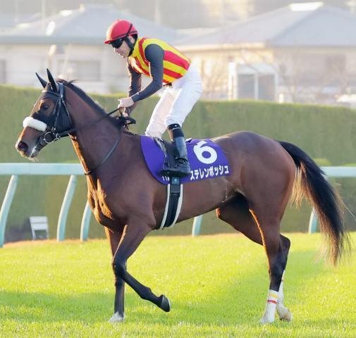 【阪神ジュベナイルF（G1）回顧】推奨馬サフィラ4着…届かん!?｜Haya