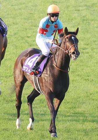 【阪神ジュベナイルF（G1）回顧】推奨馬サフィラ4着…届かん!?｜Haya