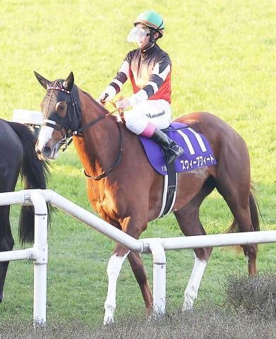 【阪神ジュベナイルF（G1）回顧】推奨馬サフィラ4着…届かん!?｜Haya