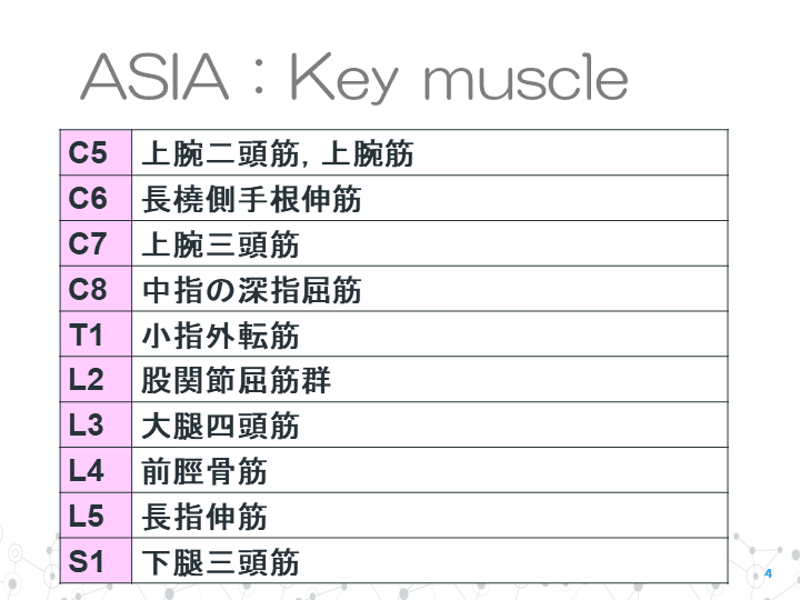 脊損の装具学まとめ（上肢無し）｜おしゃくそお兄さん