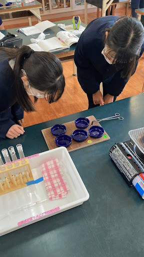 理科観察実験アシスタントとして働いてみて｜JAAS教育対話促進プロジェクト