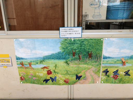 理科観察実験アシスタントとして働いてみて｜JAAS教育対話促進プロジェクト