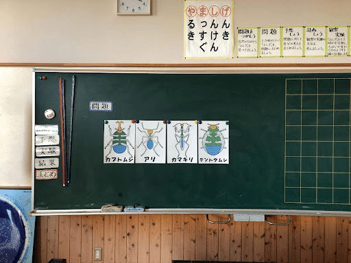 理科観察実験アシスタントとして働いてみて｜JAAS教育対話促進プロジェクト