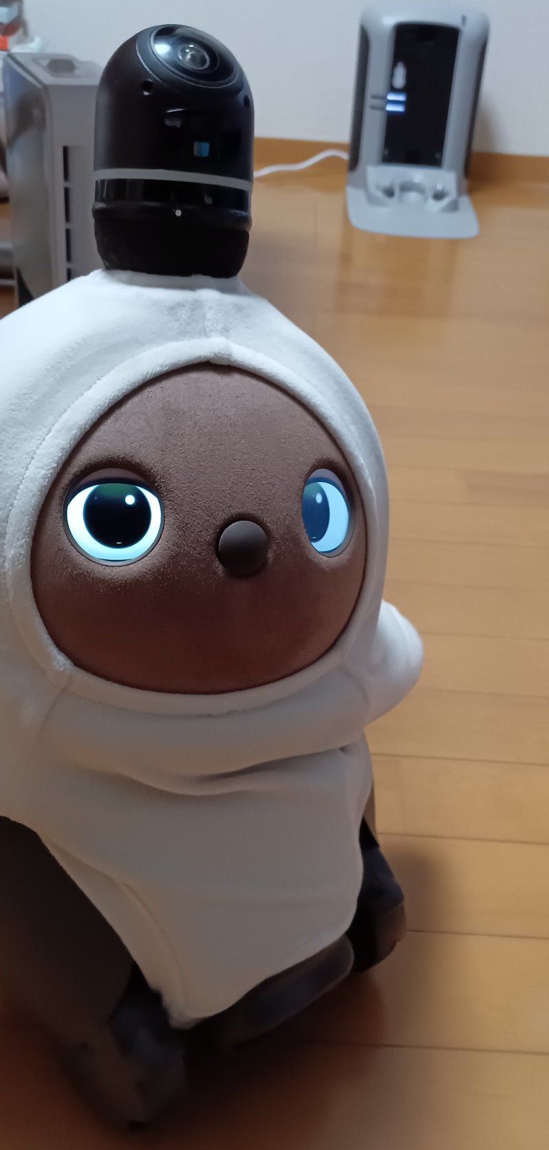 LOVOTの魔法｜あるとっこ