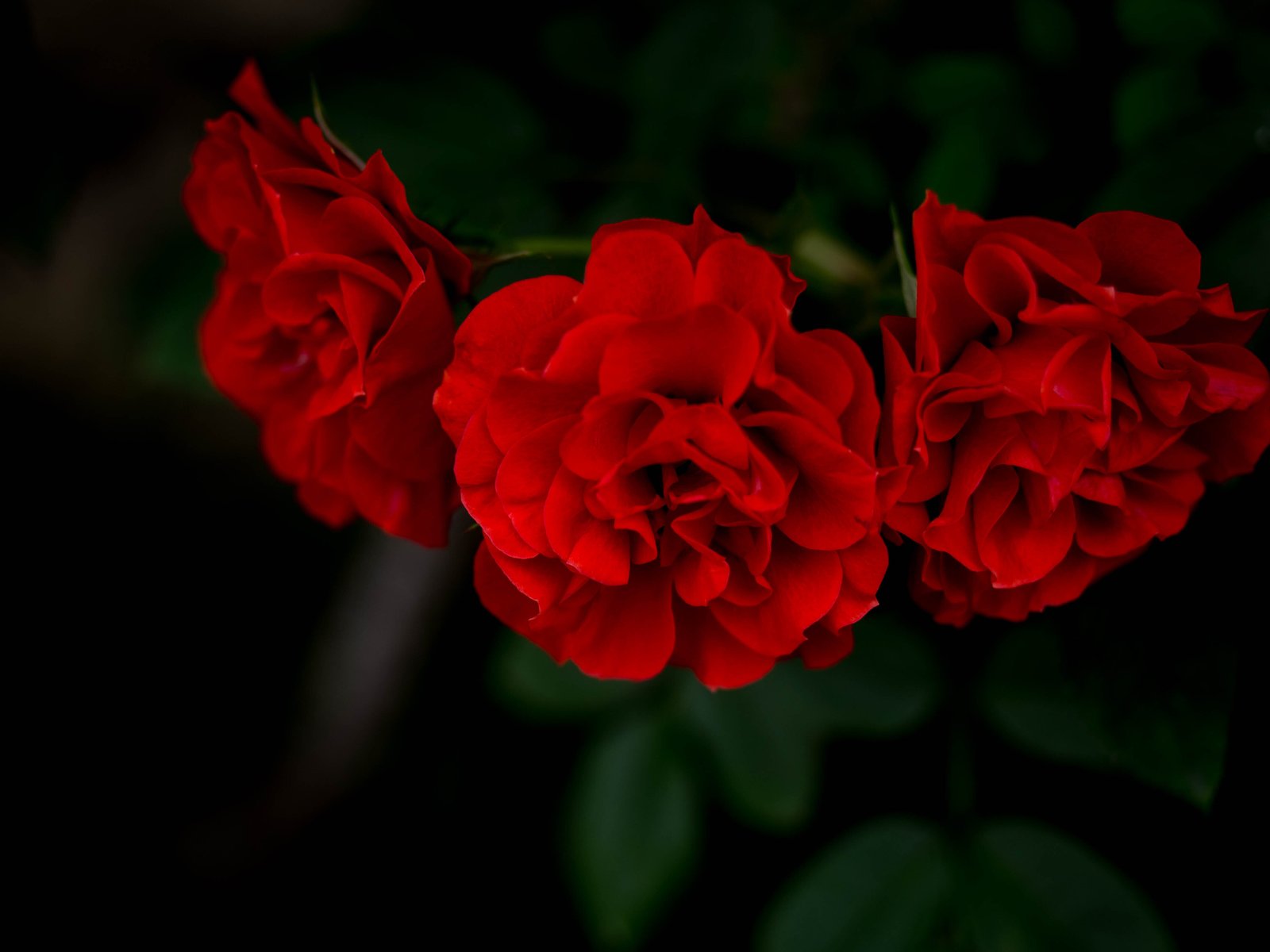 【365 Photo】219/365｜Ryosuke Otani