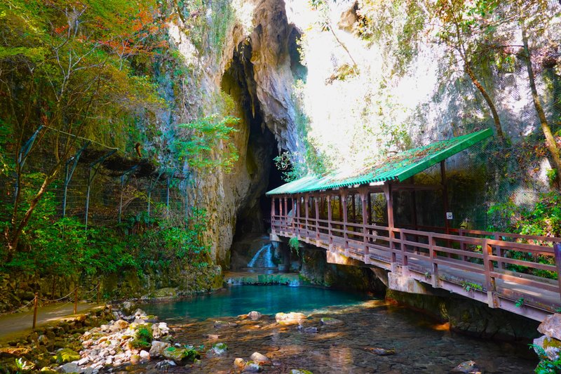 大自然が生んだ圧巻の景色へ！「秋吉台＆秋芳洞」 国内旅行記・山口編Vol.3｜Tsuchinoco