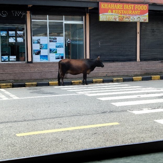 【医療】ネパール～君がくれたもの～④【福祉】｜ABB-welm