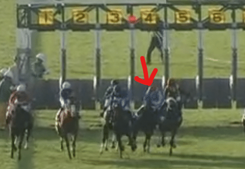 2023/12/10 阪神JF G1｜獅子の【JRA無料重賞予想】