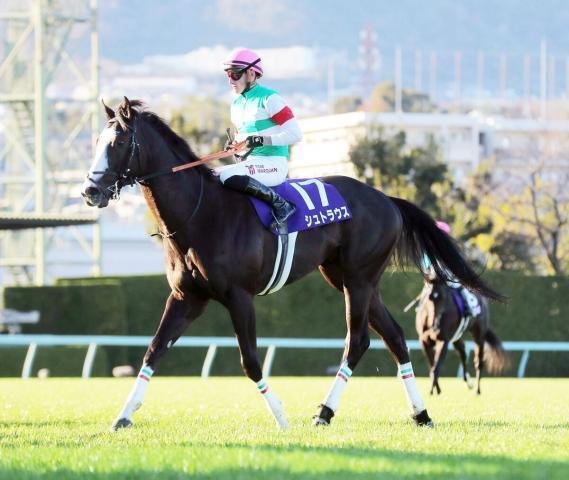 【朝日杯フューチュリティS（G1）回顧】推奨馬シュトラウス10着…何処!?｜Haya