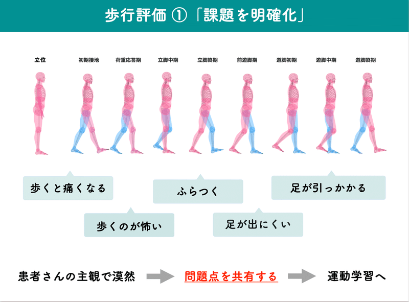【HAMT】分析の超基礎編〜正常歩行から脳卒中の歩行を分析する〜｜櫛引翔太 鍼灸師 × 脳卒中認定PT
