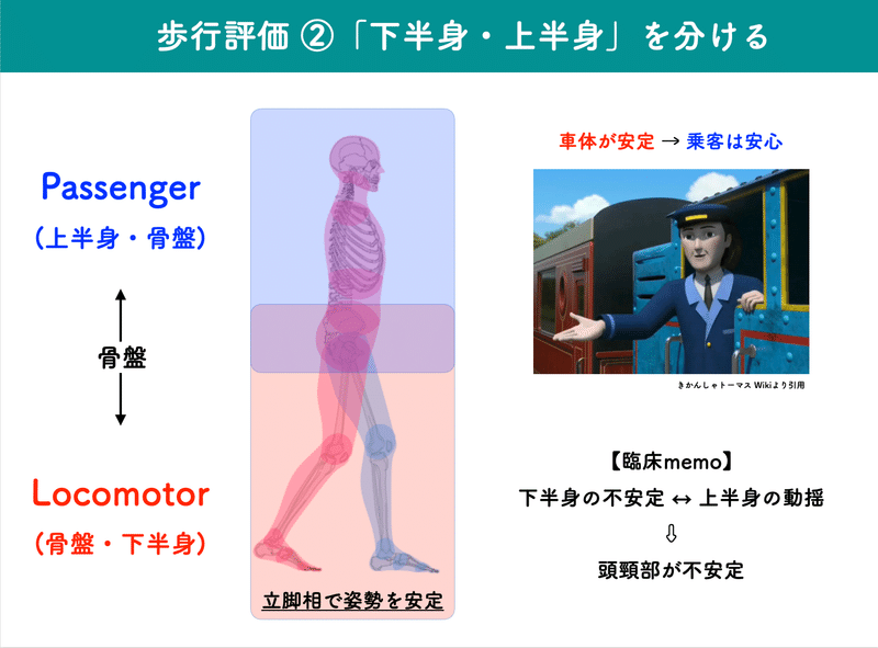 【HAMT】分析の超基礎編〜正常歩行から脳卒中の歩行を分析する〜｜櫛引翔太 鍼灸師 × 脳卒中認定PT