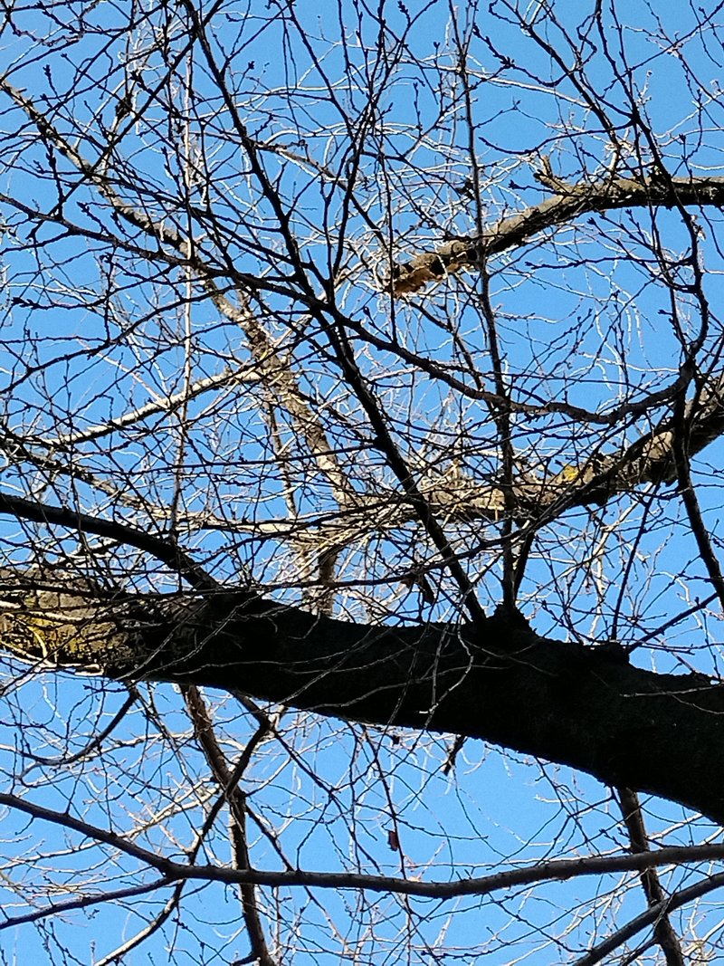 Something unchanged.｜風の精🍃