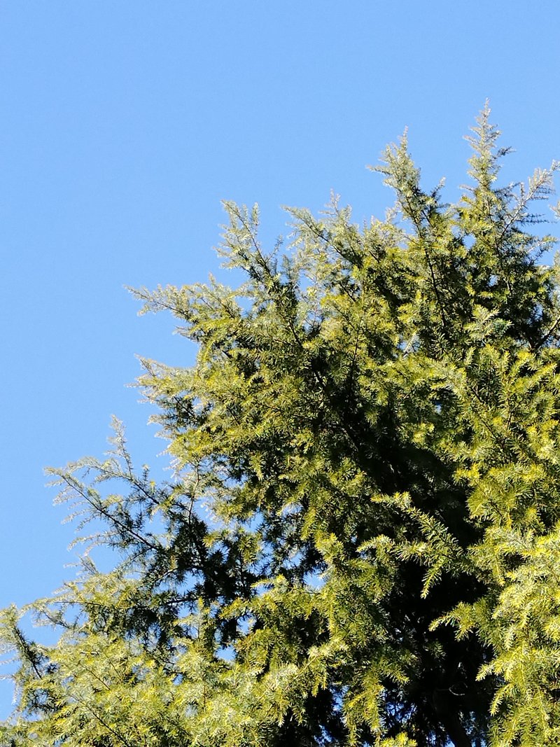 Something unchanged.｜風の精🍃