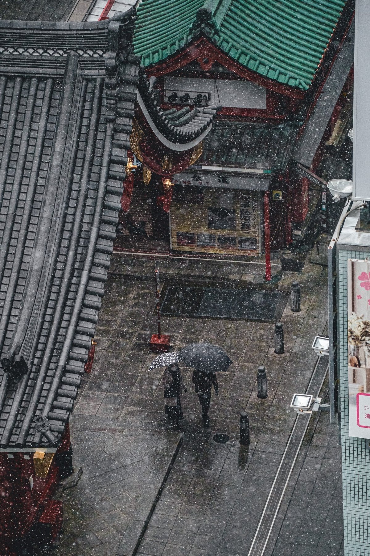 【作例写真30枚】X-E4を4年以上使い続けた本音レビュー｜Nocchi(のっち)