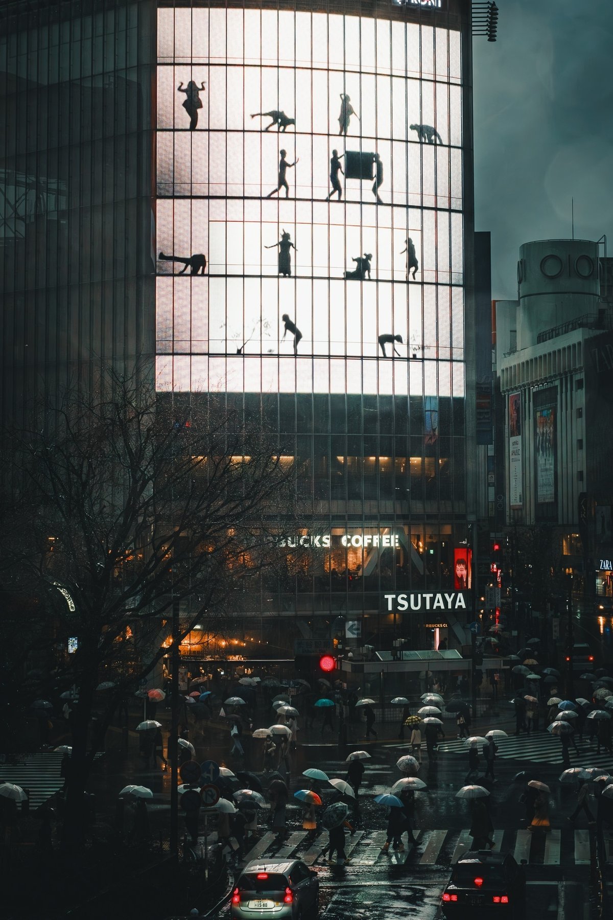 【作例写真30枚】X-E4を4年以上使い続けた本音レビュー｜Nocchi(のっち)