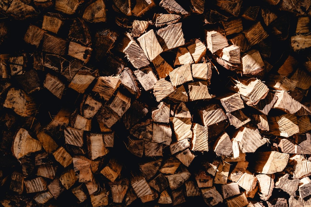 【作例写真30枚】X-E4を4年以上使い続けた本音レビュー｜Nocchi(のっち)