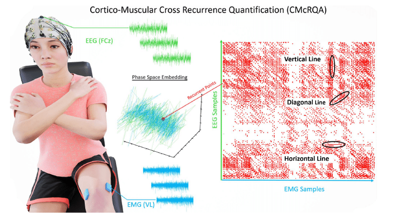 皮質-筋ダイナミクスの不調和がACL損傷リスクを高める｜Brain storm conditioning 〜 脳からコンディショニング