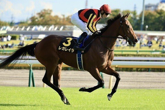 【ホープフルS（G1）】～予想篇｜Haya