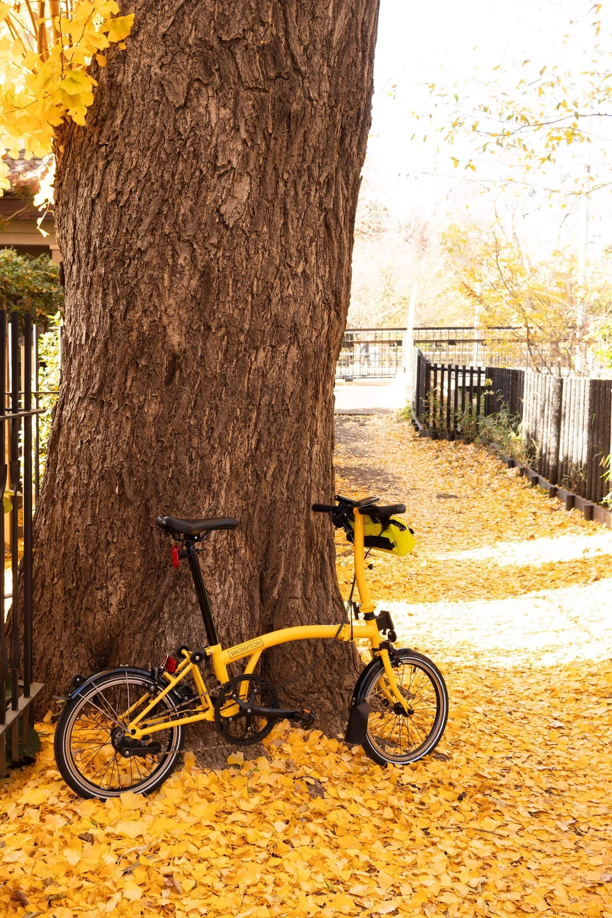 Fun with BROMPTON folding bike｜cyclolink