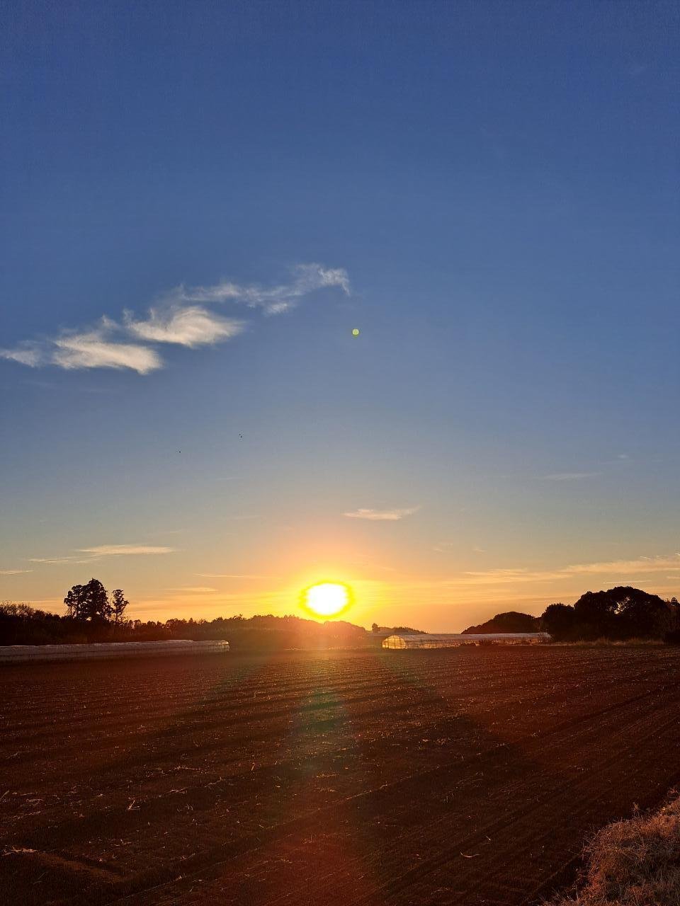 明けない夜はない😊｜workma(わーくま)