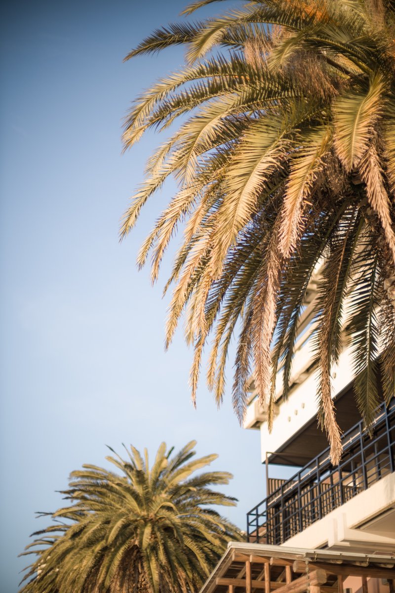 西浦海岸｜MITSUHIRO