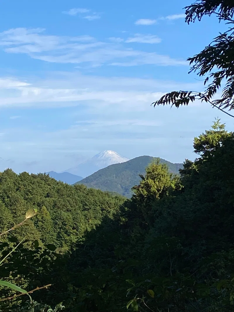 連載～静岡の歴史を学ぼう254】Utsunoya Mountain Pass Part1 宇津ノ谷峠 パート1｜谷 佳世子