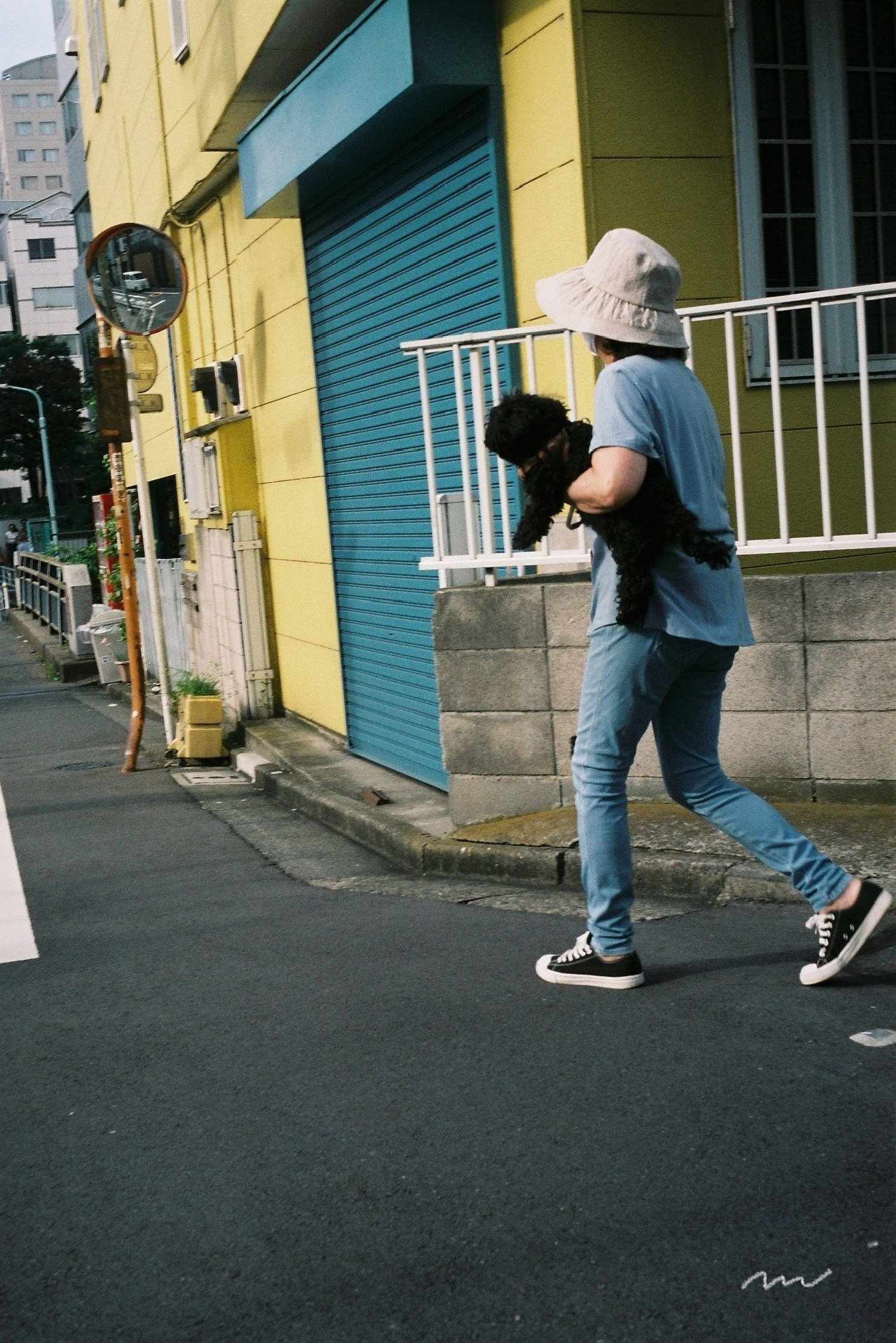 ハレーション｜miwa_n