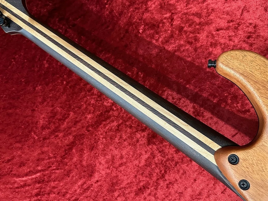 Overload Custom Guitars / Rea6｜いっちー🎸＠🐓鳥頭🐥